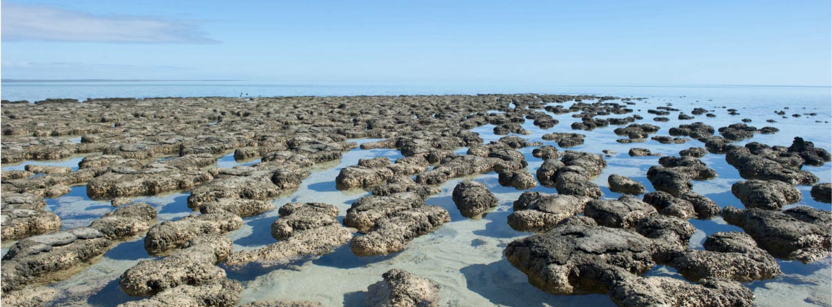 HOME : Geochemical Journal